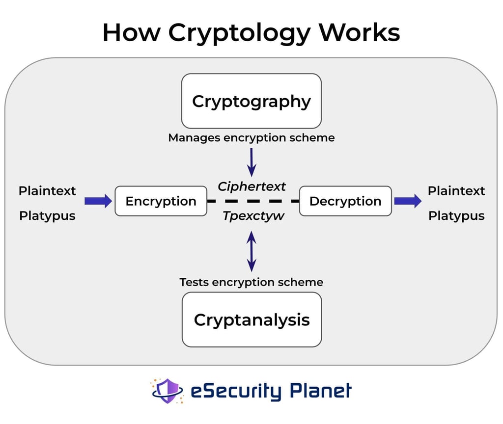 What Is Encryption? Definition, How it Works, & Examples