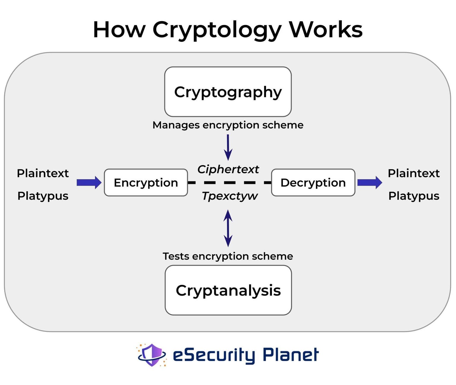 What Is Encryption? Definition, How it Works, & Examples