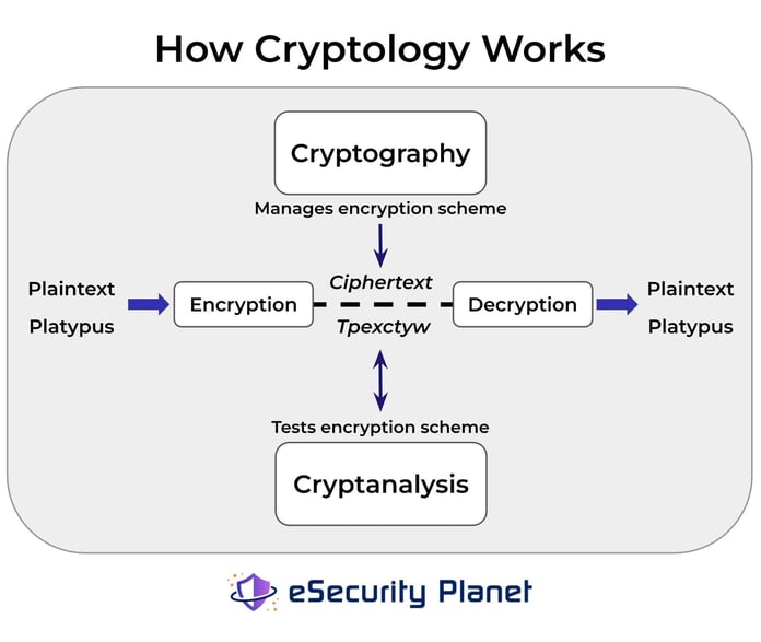 What Is Encryption? Definition, How it Works, & Examples
