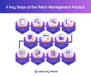 11 Key Steps of the Patch Management Process | eSecurity Planet