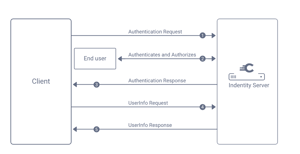 What Is API Security? Definition, Fundamentals, & Tips