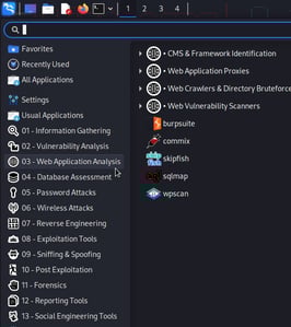 Kali Linux Penetration Testing Tutorial: How to Use Kali Linux