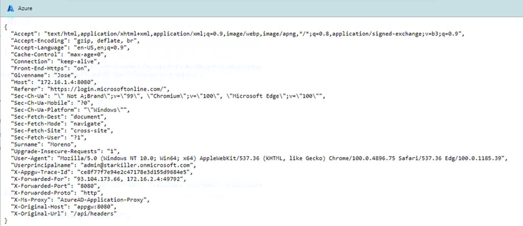 What Is an Application Level Gateway? Guide on How ALGs Work