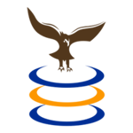 Top 6 Database Security Solutions Available in 2024