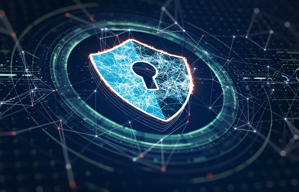 BT Security and Risk Management | eSecurity Planet