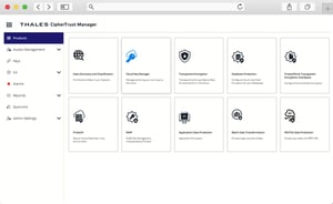 Top 6 Database Security Solutions Available in 2024