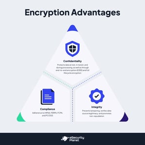 What Is Encryption? Definition, Applications, and Examples