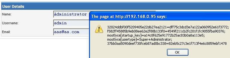 How to Use Input Sanitization to Prevent Web Attacks