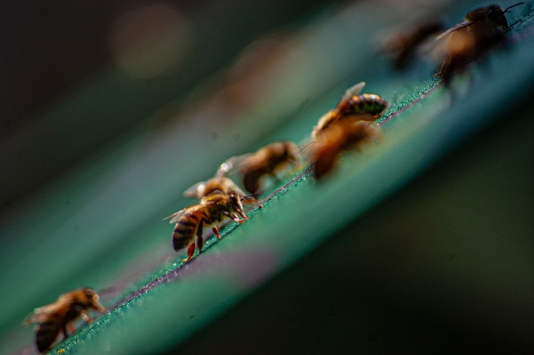 FBI Seizes BreachForums Portal Used in Salesforce Extortion Campaign | eSecurity Planet